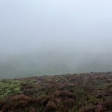 Long Mynd Circular, Shropshire, England - 1,251 Reviews, Map | AllTrails