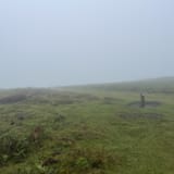 Long Mynd Circular, Shropshire, England - 1,259 Reviews, Map | AllTrails