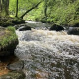 Golitha Falls, Cornwall, England - 170 Reviews, Map | AllTrails