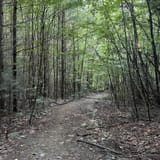Western Ridge Trail to Overlook, New York - 856 Reviews, Map | AllTrails