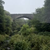 Beamish Park and Causey Arch Circular, County Durham, England - 461 ...