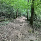 Deep Creek Loop Trail, North Carolina - 2,218 Reviews, Map | AllTrails