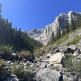 Middle Sister Trail, Alberta, Canada - 456 Reviews, Map | AllTrails