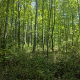 Core Creek Park Trail, Pennsylvania - 1,660 Reviews, Map | AllTrails