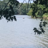 Core Creek Park Trail, Pennsylvania - 1,660 Reviews, Map | AllTrails