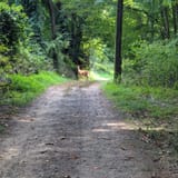 Core Creek Park Trail, Pennsylvania - 1,660 Reviews, Map | AllTrails