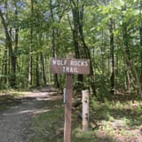Wolf Rocks Trail, Pennsylvania - 1,548 Reviews, Map | AllTrails