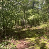 Wolf Rocks Trail, Pennsylvania - 1,548 Reviews, Map | AllTrails