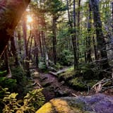 Mount Adams via Air Line Trail, New Hampshire - 763 Reviews, Map ...