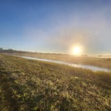 Navarino Nature Center Loop Trail, Wisconsin - 169 Reviews, Map | AllTrails