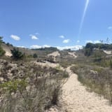 Warren Dunes Trail, Michigan - 1,558 Reviews, Map | AllTrails