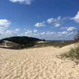 Warren Dunes Trail, Michigan - 1,561 Reviews, Map | AllTrails