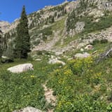 Booth Lake Trail, Colorado - 1,185 Reviews, Map | AllTrails