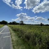 Busse Woods Loop Trail, Illinois - 2,969 Reviews, Map | AllTrails