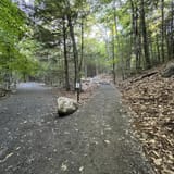 Mount Major via Main Trail, New Hampshire - 2,171 Reviews, Map | AllTrails
