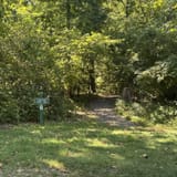 Bee Tree Lake Loop, Missouri - 546 Reviews, Map | AllTrails