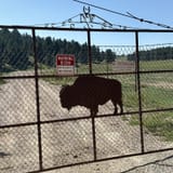 Genesee Mountain Trail Outer Loop, Colorado - 2,152 Reviews, Map ...