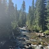 Hell Roaring Creek Trail, Montana - 499 Reviews, Map | AllTrails
