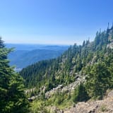 Mount Ellinor Trail, Washington - 2,958 Reviews, Map | AllTrails