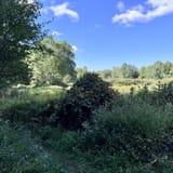 Stewart State Forest Bike Trail, New York - 210 Reviews, Map | AllTrails