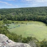Ross's Cliff Trail Loop, Connecticut - 1,863 Reviews, Map | AllTrails