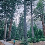 Emerald Point Trail, California - 1,803 Reviews, Map | AllTrails