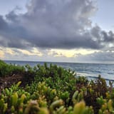 Ke Ala Hele Makalae (Kauai Multiuse Path), Kaua'i, Hawaii - 828 Reviews ...