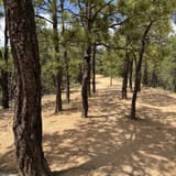Atalaya Mountain Trail, New Mexico - 2,938 Reviews, Map | AllTrails
