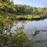 Gold Branch Trail, Georgia - 2,844 Reviews, Map | AllTrails