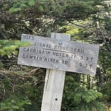 Mount Carrigain via Signal Ridge Trail, New Hampshire - 3,000 Reviews ...