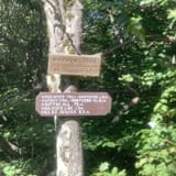 Mount Watatic, Massachusetts - 1,656 Reviews, Map | AllTrails