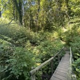 Tryon Creek Triple Bridge Loop, Oregon - 1,840 Reviews, Map | AllTrails