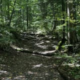 Meadow Run Trail, Pennsylvania - 1,275 Reviews, Map | AllTrails