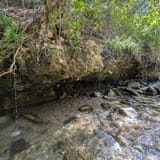 Dripping Rock Falls, Utah - 743 Reviews, Map | AllTrails