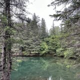 Two Lakes Trail, Alaska - 567 Reviews, Map | AllTrails