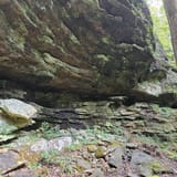 Split Bow Arch Loop, Kentucky - 191 Reviews, Map | AllTrails
