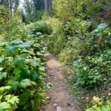 Stanton Lake, Montana - 1,139 Reviews, Map | AllTrails