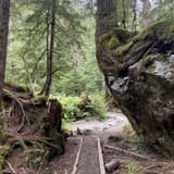 Barclay Lake Trail, Washington - 2,284 Reviews, Map | AllTrails