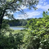 Mashpee River Woodlands North Trail, Massachusetts - 590 Reviews, Map ...
