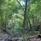 Sharps Ridge Loop Trail, Tennessee - 978 Reviews, Map | AllTrails