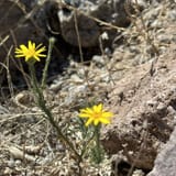 Apache Tears Mine via Perlite Road, Arizona - 830 Reviews, Map | AllTrails