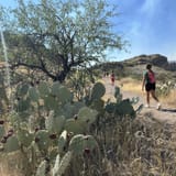 Apache Tears Mine via Perlite Road, Arizona - 848 Reviews, Map | AllTrails