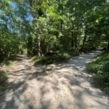 Crows Woods, New Jersey - 439 Reviews, Map | AllTrails