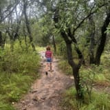 Gorman Falls Trail, Texas - 1,164 Reviews, Map | AllTrails