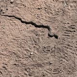 Carpenter Peak Trail, Colorado - 3,822 Reviews, Map | AllTrails