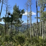 Desolation Lake via Mill D North Fork and Desolation Trail, Utah ...