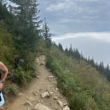 Ira Spring Memorial Trail, Washington - 2,437 Reviews, Map | AllTrails