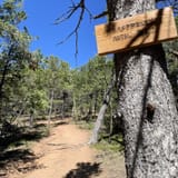 Raspberry Mountain Trail via Ring the Peak Trail, Colorado - 2,166 ...