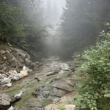 Ira Spring Memorial Trail, Washington - 2,403 Reviews, Map | AllTrails