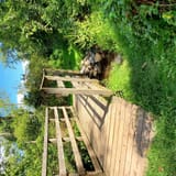 Speedwell Forge Hiking Trail, Pennsylvania - 1,196 Reviews, Map | AllTrails